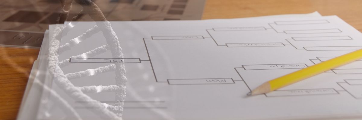 Using DNA To Explore Our Origins, Part 2 - Florida State Genealogical ...