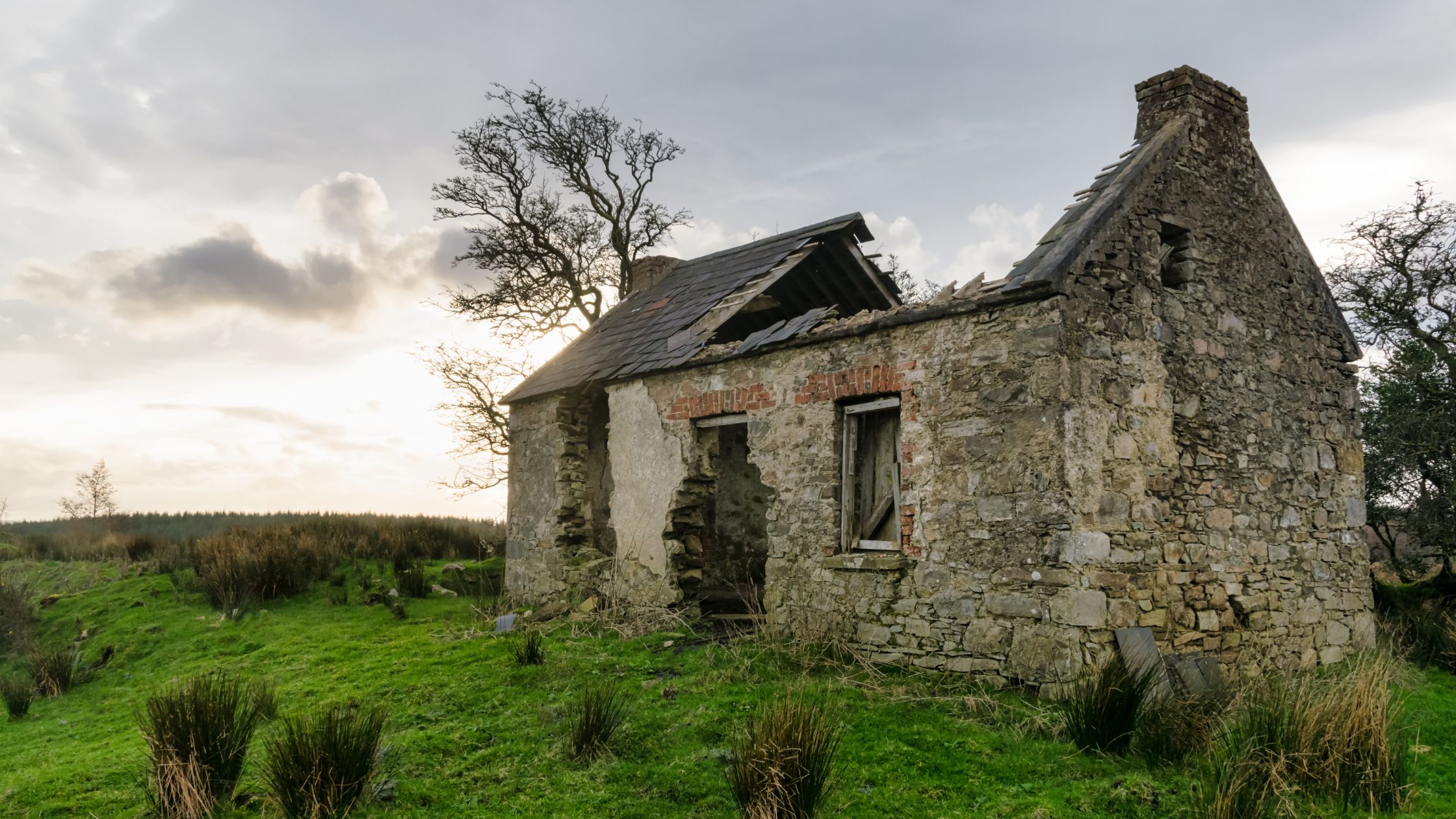 Irish Emigrants to North America: Before, During and After the Famine ...